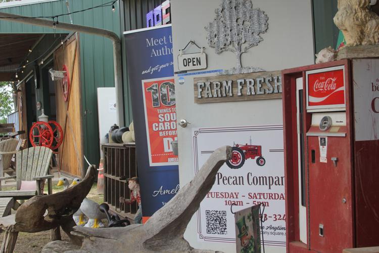 On the road again: Book highlights Lakelands attractions that should be ...