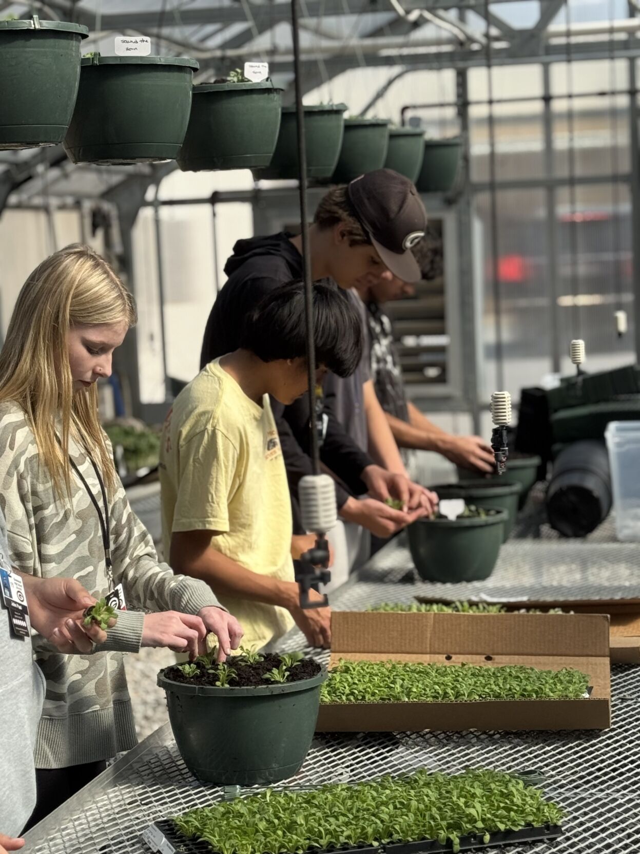 FFA spring plant sale: Where learning takes root | News | indexjournal.com
