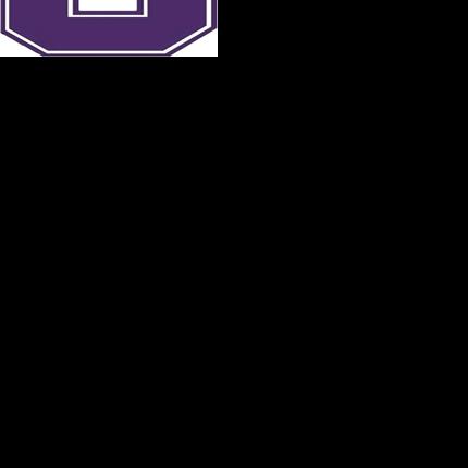 Saluda dismantles rival Ridge Spring-Monetta | High School Football ...