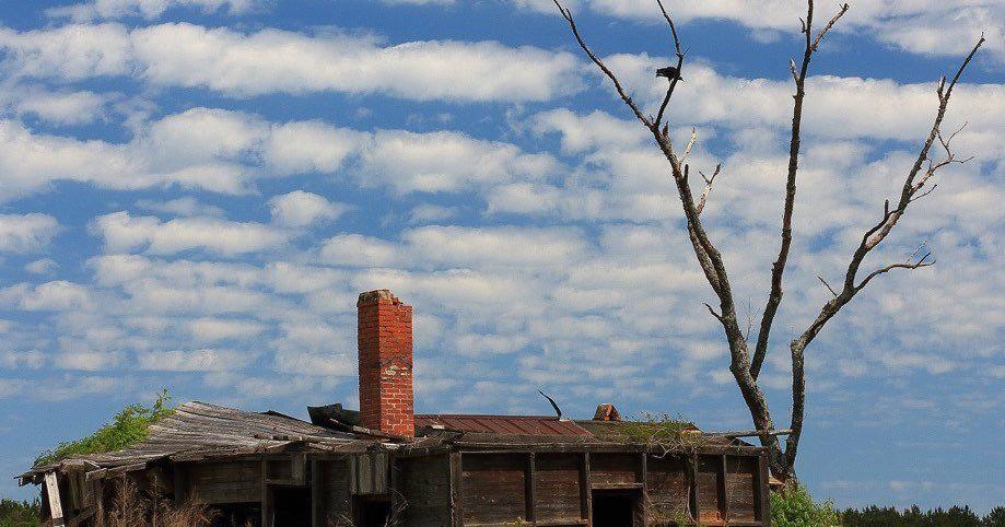 Buzzard luck | Columns | indexjournal.com