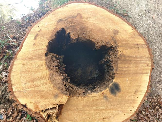 Shelter from the storm: Greenwood's Eddie Coleman lost a home to Helene ...