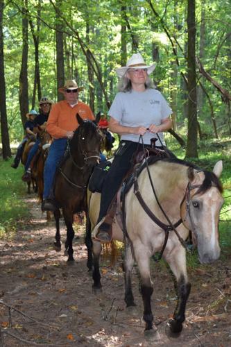 Her name is Mud: Horse community bands together to reunite missing mare ...