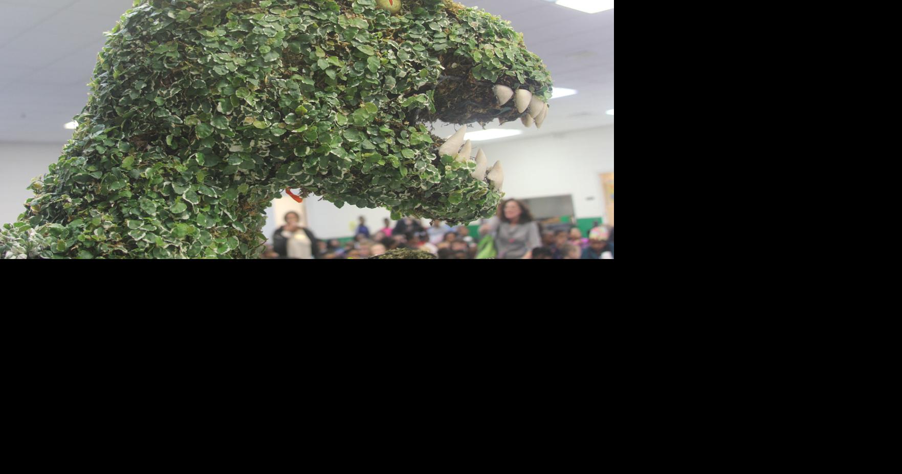 'Dino Dude': Rice Elementary students assist in building T-Rex topiary ...