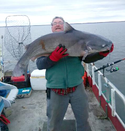 A fish tale: Waterloo man honored for catching trophy-sized catfish ...