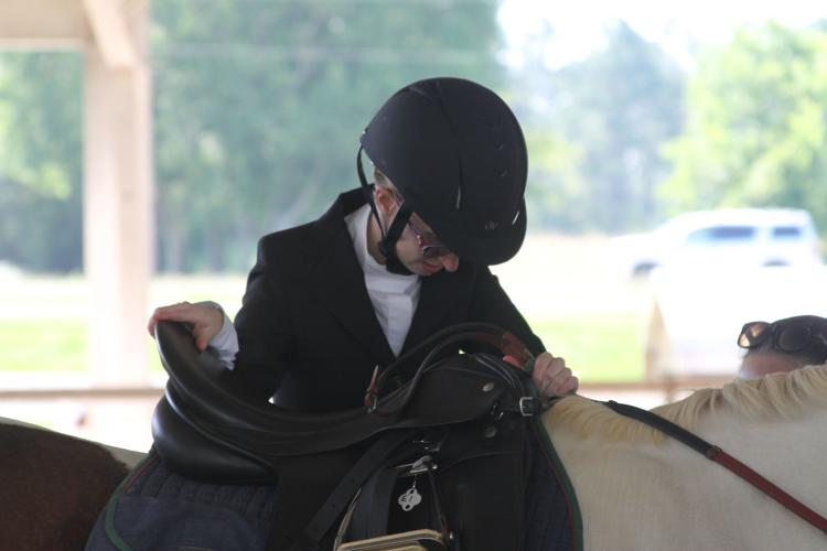 Showstopping horsemanship: Bearcat Therapeutic Riding Team goes to ...