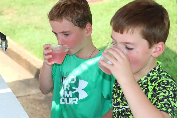 Got lemons? Brothers use lemonade stand to raise money for hospice ...