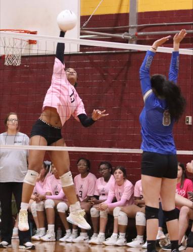 'She's too strong': Burton, Panthers blast Bulldogs in first round of ...