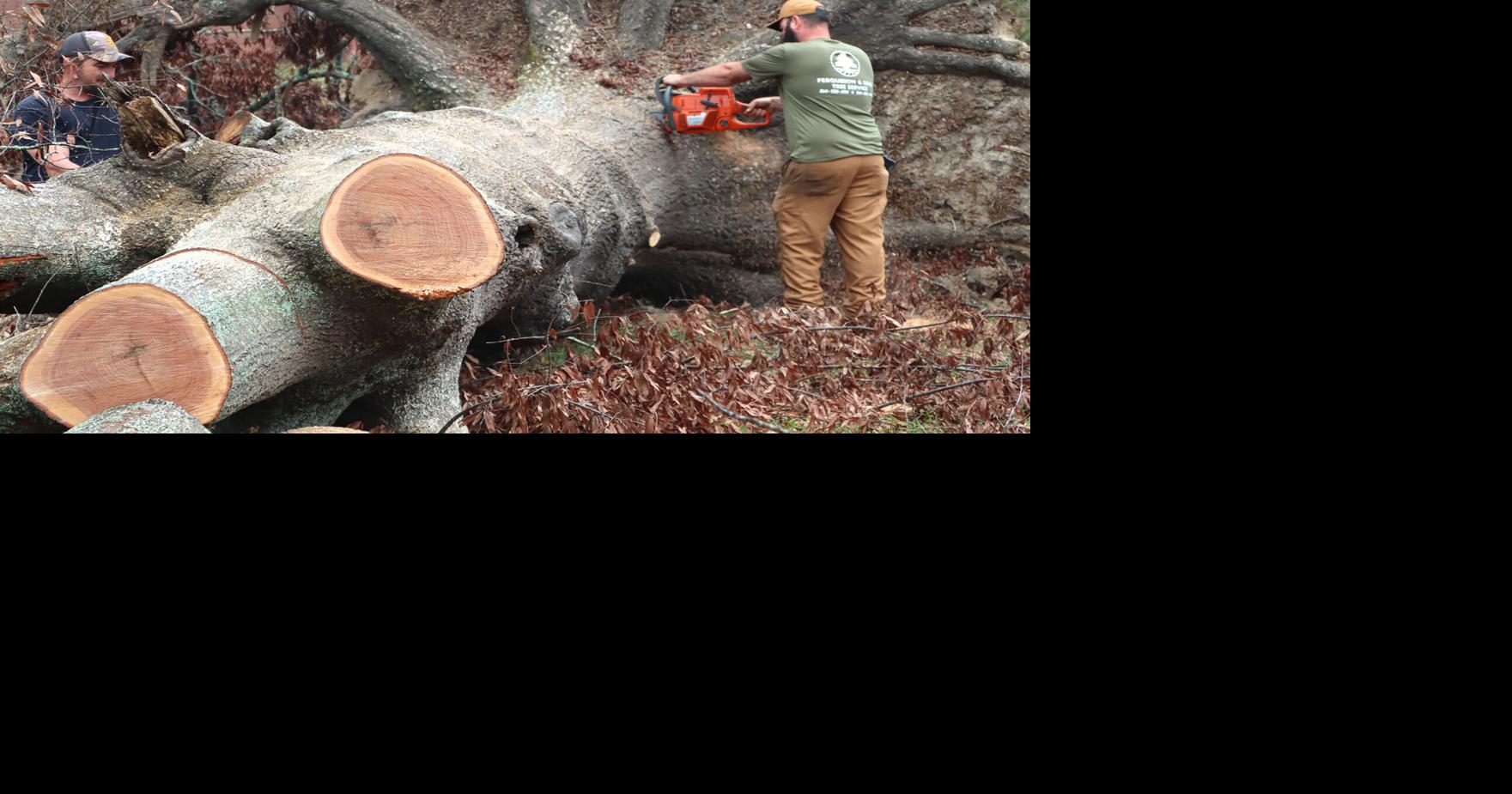 Slowly but surely: Aftermath of Hurricane Helene cleanup continues ...