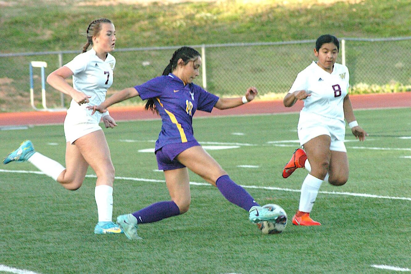 Emerald girls soccer rallies to beat Woodruff in overtime | Sports | indexjournal.com