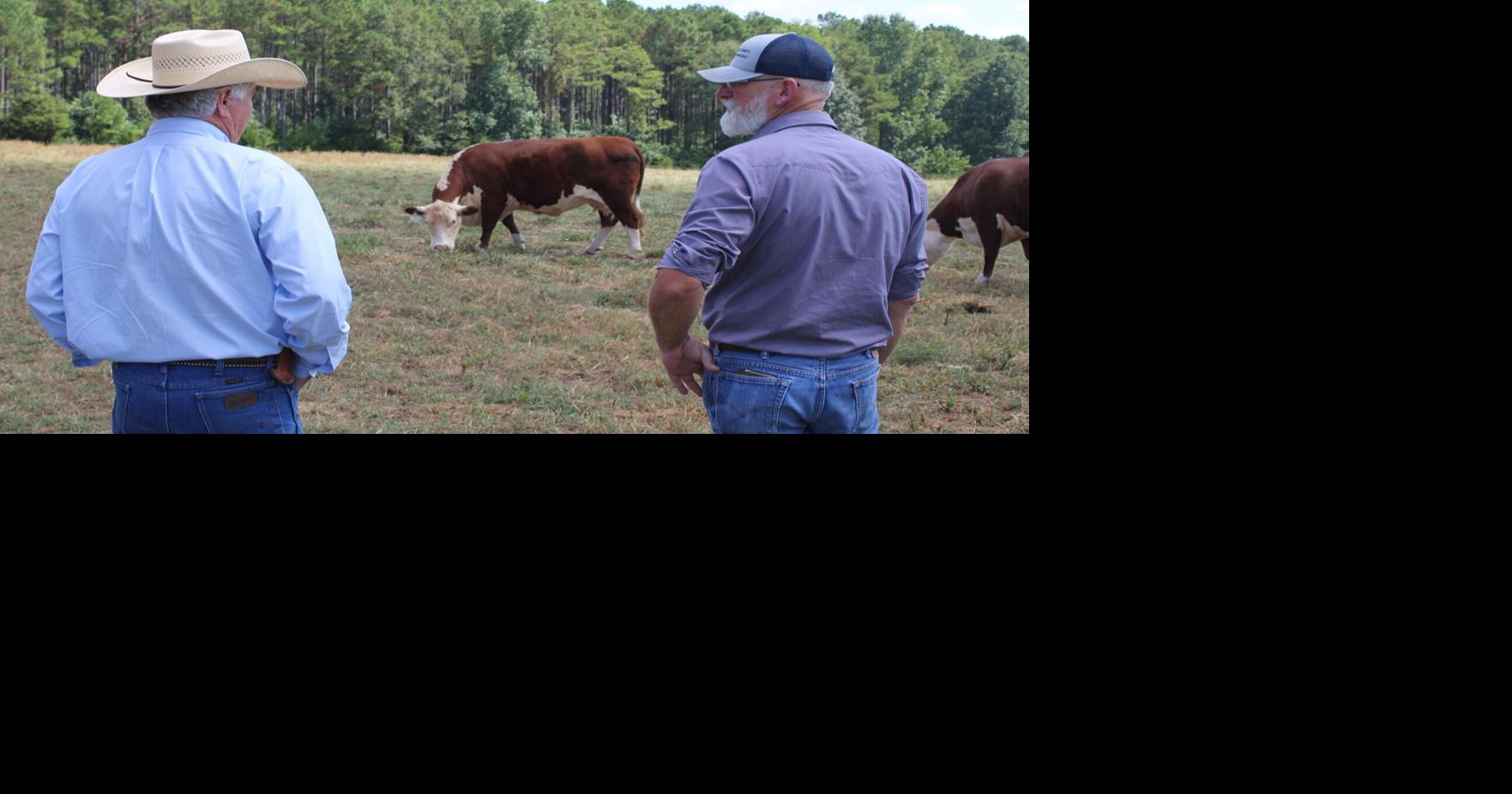 Cow talk at John de la Howe | | indexjournal.com