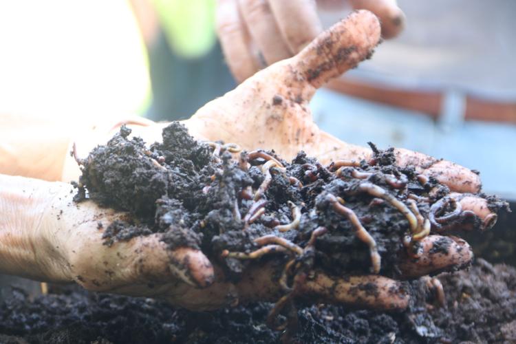 Composting class shows how to turn waste into 'black gold' | News ...