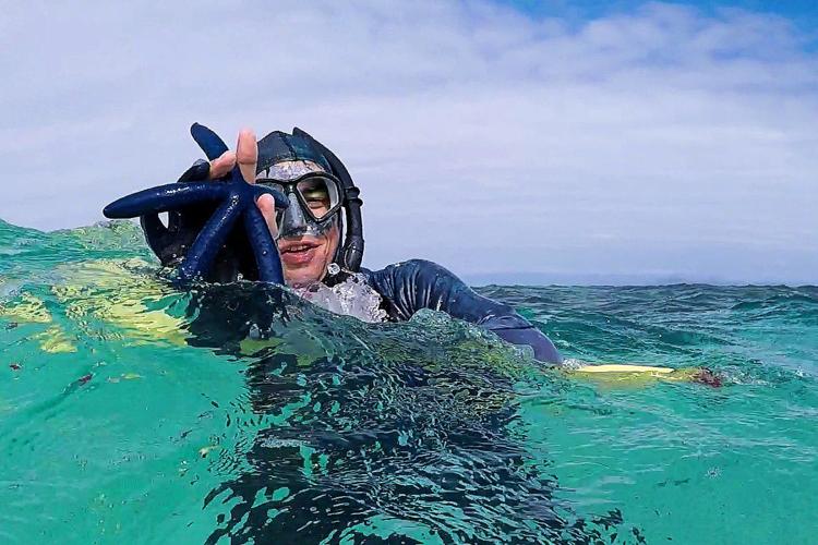 Andy Brack: Queensland is a big wonderland of biodiversity | Columns ...
