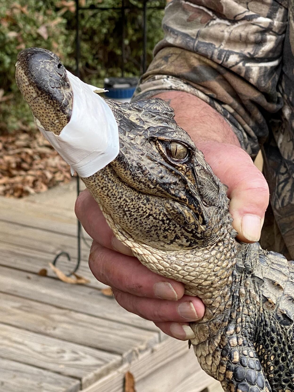 Page A4 | e-Edition | indexjournal.com