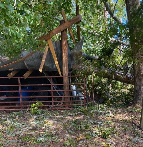 Residents seek Hurricane Helene help at Team South Carolina County Day ...