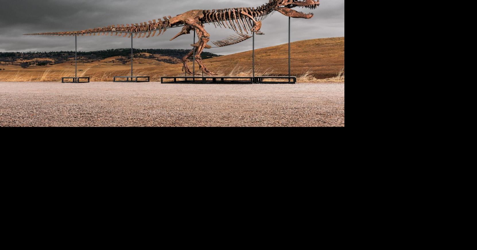 Most complete T. rex fossil to fetch up to $30 million at auction ...