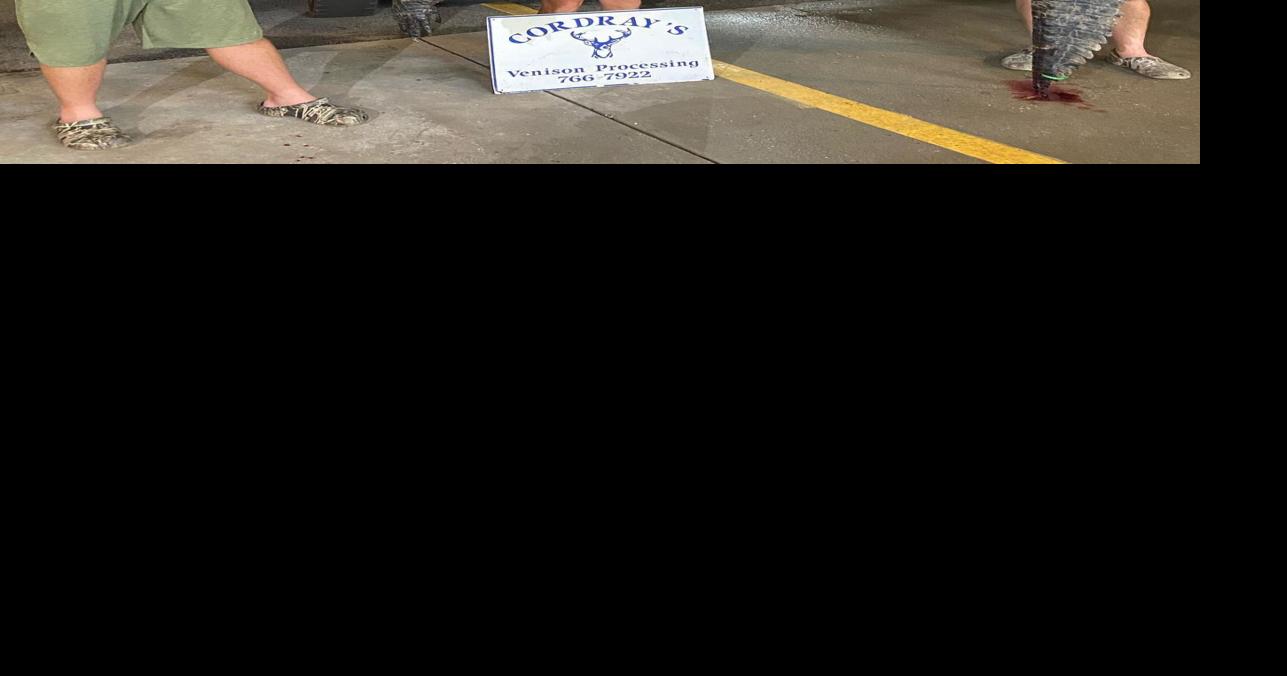 Abbeville resident catches 13-foot alligator in Lake Marion | Sports ...