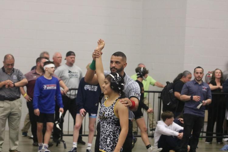 10 Lakelands wrestlers to compete for state championships | Sports ...