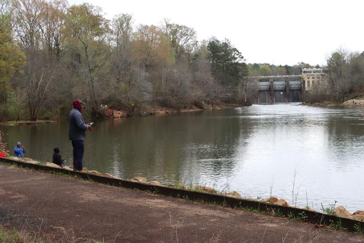 Crisis control: Concern for Lake Greenwood stretches beyond shorelines ...