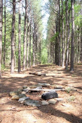On the ashes of Boys Home of the South organization, Trail Life USA ...