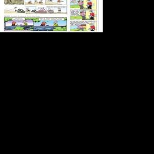 Page E3 | e-Edition | indexjournal.com