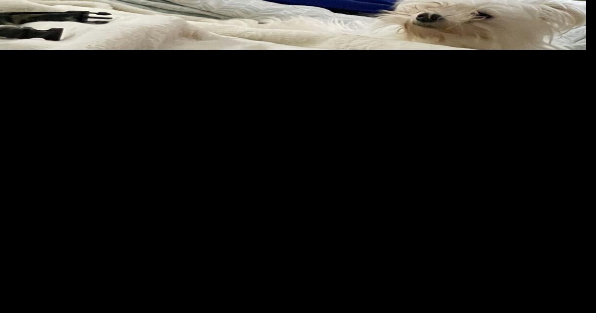 Cody Tyler Dailey | Obituaries | indianagazette.com