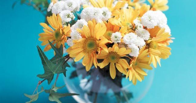 Audrey Joann Donahey | Obituaries | indianagazette.com