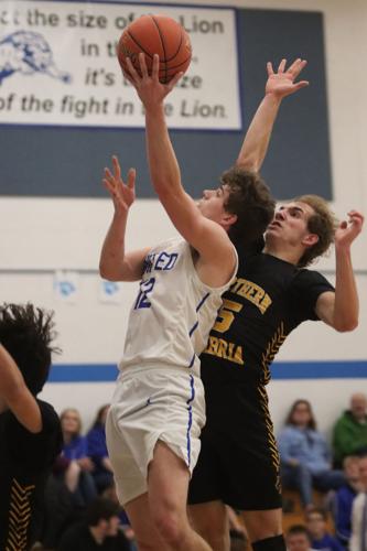 Lions run winning streak to a dozen | Sports | indianagazette.com