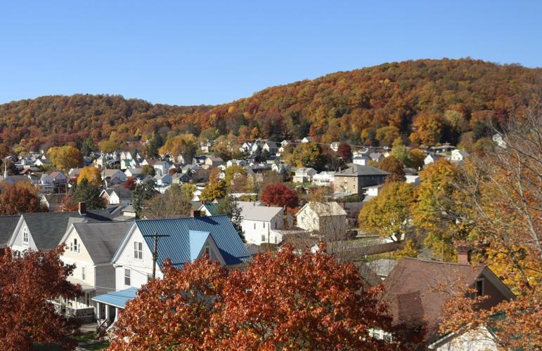 Local author, professor releases book on White's Woods | News ...