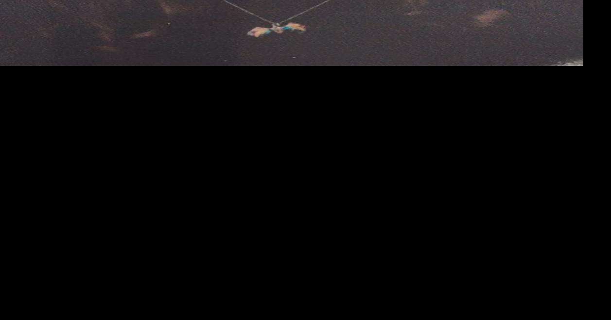 STUDENT OF THE MONTH: Summer MacPherson | Announcements ...