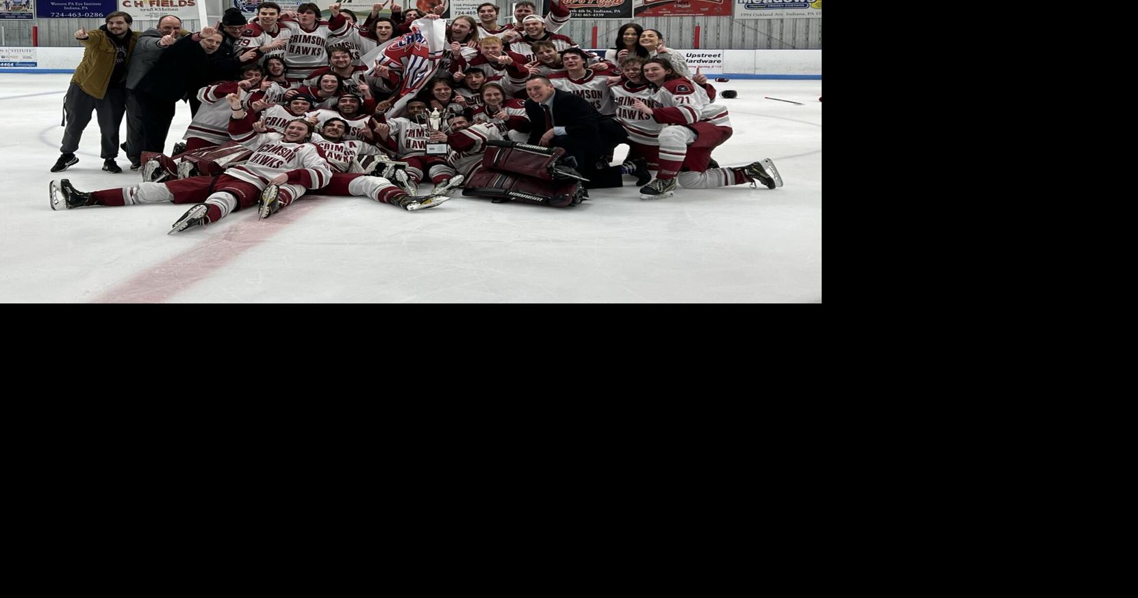 Hawks take regional ice title | Sports | indianagazette.com