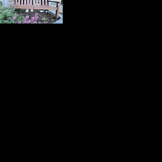 League of Women Voters donates bench to S&T Bank Arena | News ...