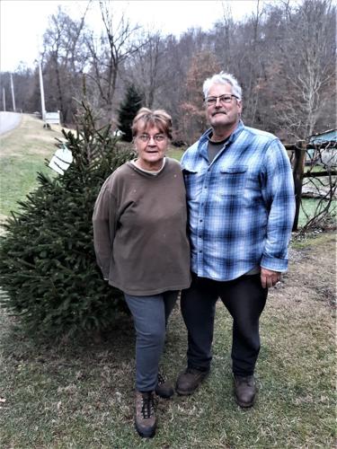 Renamed tree farm continues Christmas tradition | News | indianagazette.com