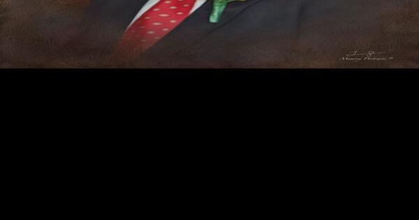 Roy McKay 'Casey' Lytle | Obituaries | indianagazette.com