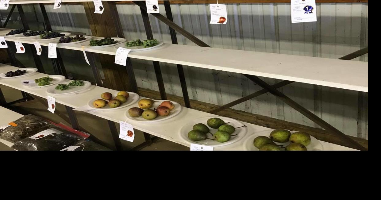 Indiana County Fair results: Fruits, nuts, home and dairy | Local News ...