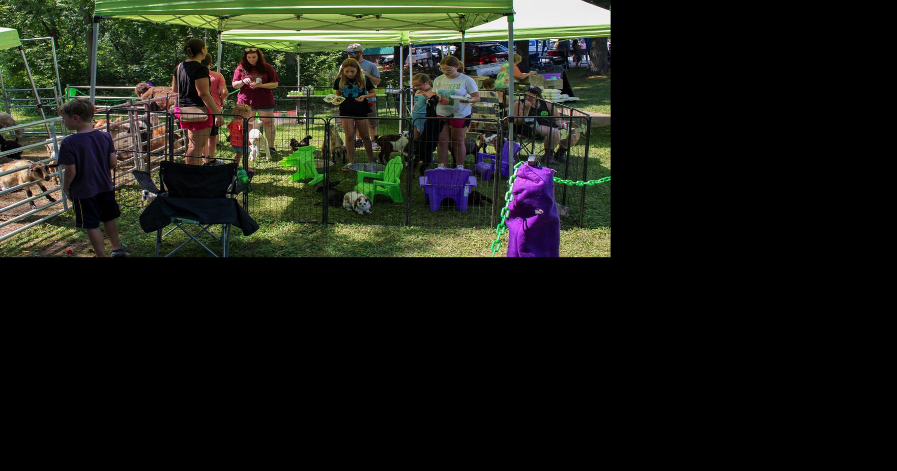 Fun in the Park festival returns to Saylor Park for third year | News ...