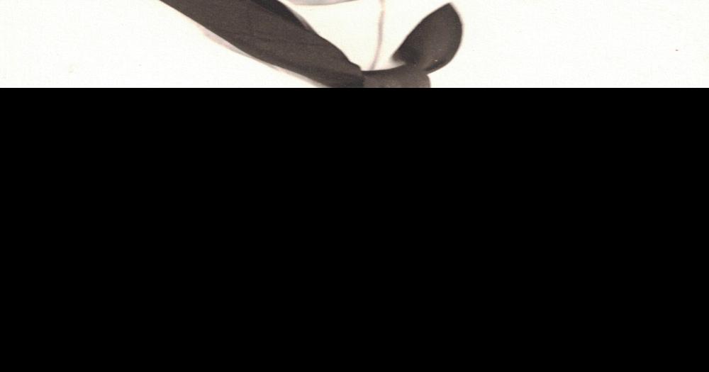 Albert Semon | Obituaries | indianagazette.com