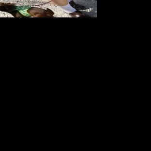 Jerry Lee Wilson | Obituaries | indianagazette.com