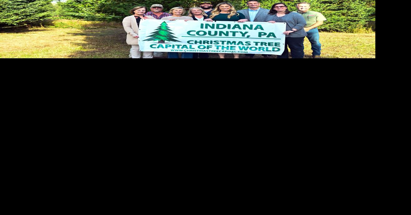 Christmas tree selected for holiday celebrations in Indiana's IRMC Park ...