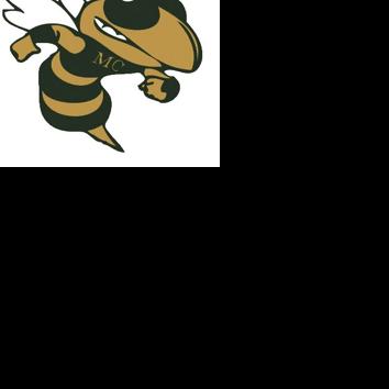 Stingrays Deliver Strong Performances Against Cambria Heights | Sports ...