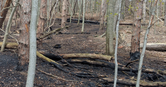 Part of the 57th brush fire of 2025 in Indiana County | Police ...