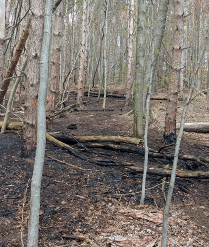 Part of the 57th brush fire of 2025 in Indiana County | Police ...