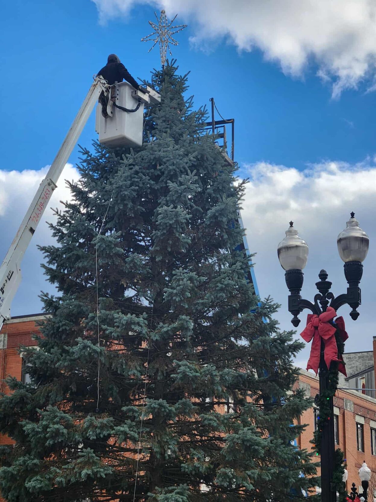 Annual tree the 'star' of IRMC park | News | indianagazette.com
