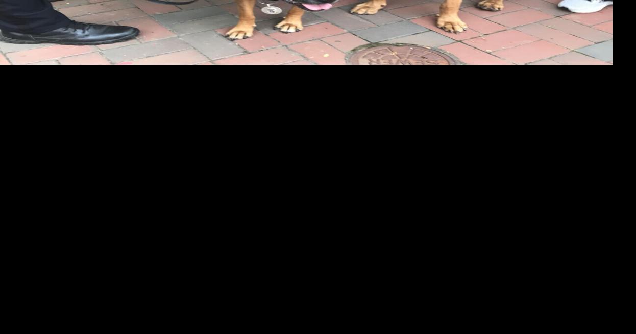 Indiana Borough Police prepares for 41st National Night Out to bring ...