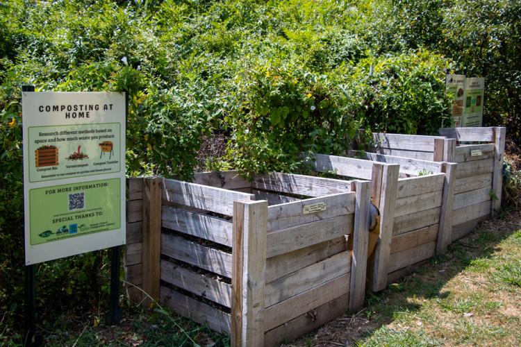 Mother Earth Farm donates festival proceeds to Chevy Chase Food Forest ...