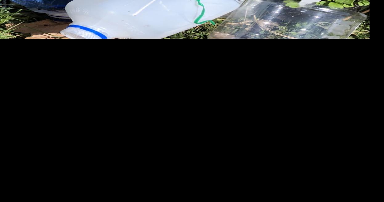 Penn State Extension Master Gardeners host winter sowing program | News ...