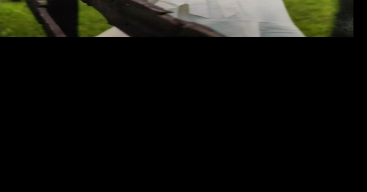 Student of the Month: Sophia Filippini | Announcements | indianagazette.com