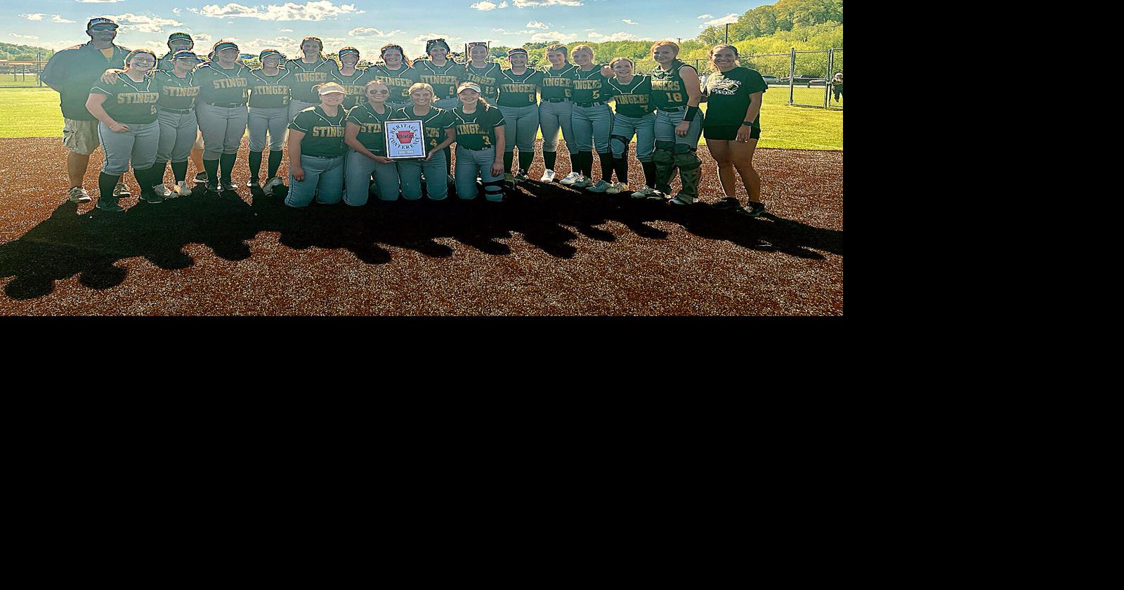 Perfect Day: Stingers beat Blue Jays in final at-bat for Heritage ...