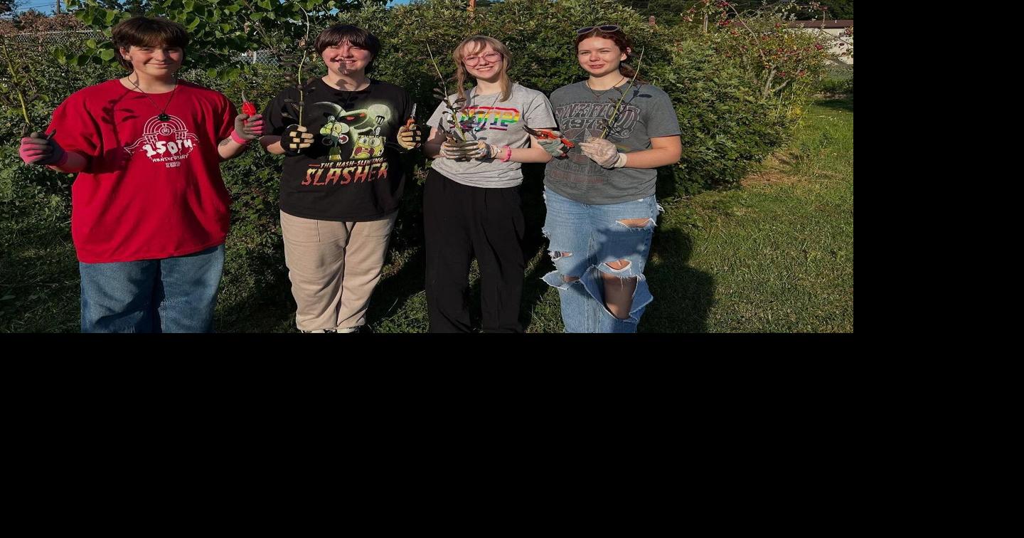 IUP students will head 'Into The Streets' for community service ...