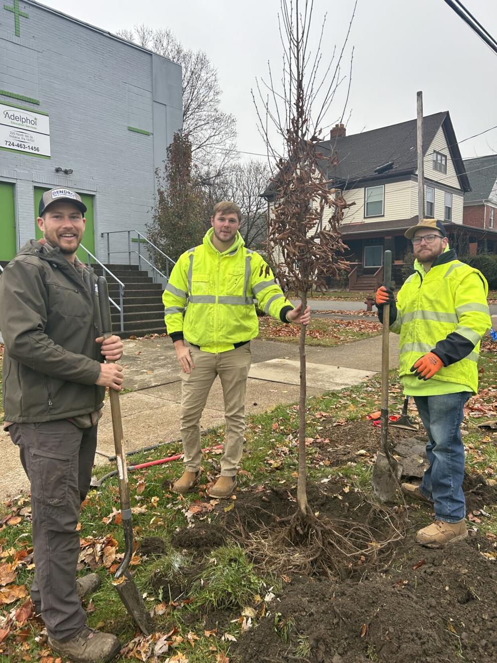 Martin's parent company helps provide $4,000 for trees in Indiana ...