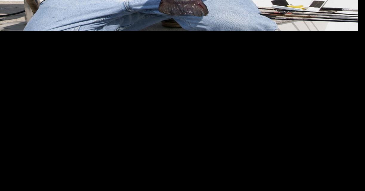 Ledges are hot spots for summer bass | Indiana County Sports ...